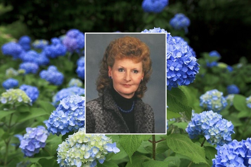 OBITUARY: Judy Haskins - Dickson County Source