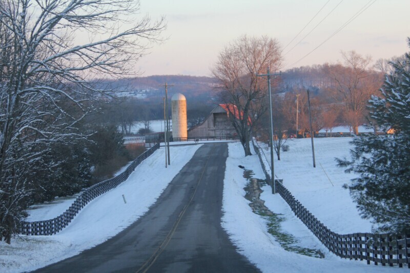 Photos: Snow Day January 11, 2025 - Dickson County Source